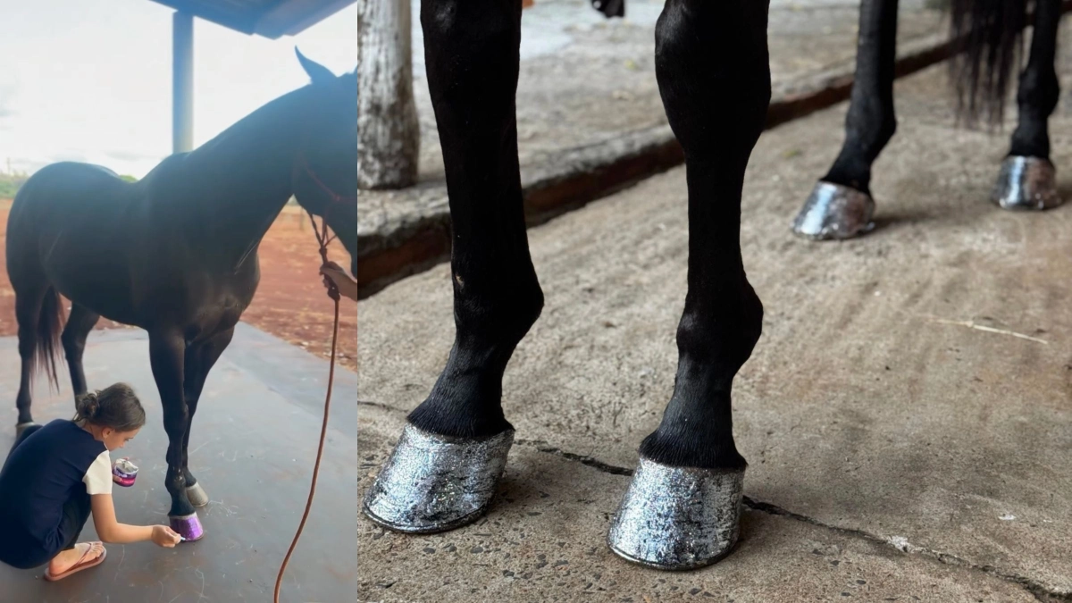 Horse & Glow: Hydrated Hooves With A Sparkling Twist