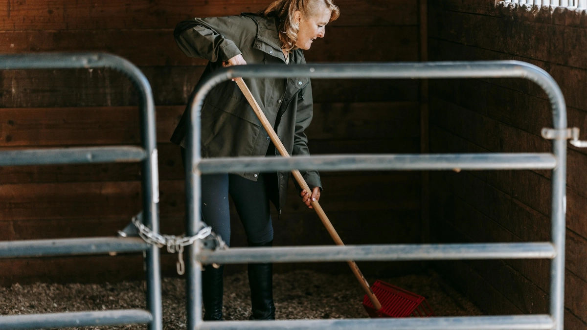 10 Tips For Deep Cleaning Your Horse Barn