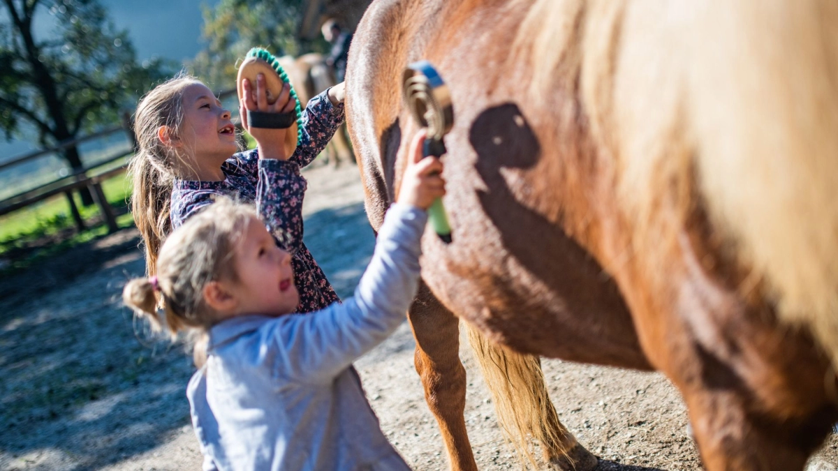 10 Fun Activities For Horsey Kids