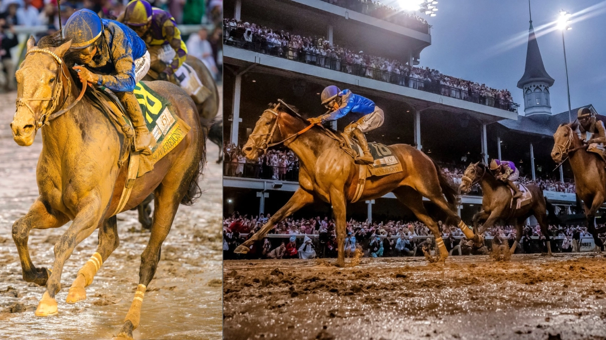 5 Facts About Kentucky Derby Winner, Sovereignty