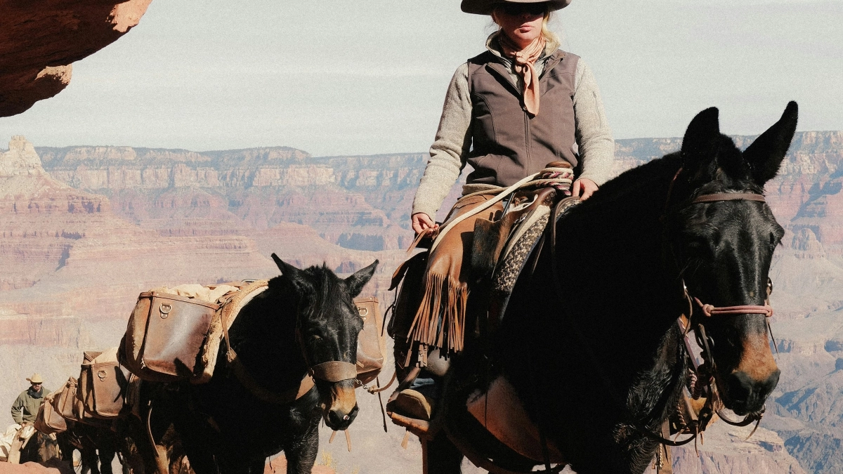 5 Fun Facts About Mule Packing