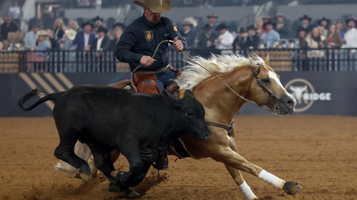 The American Performance Horseman Unites Reining, Cutting, And Cow ...