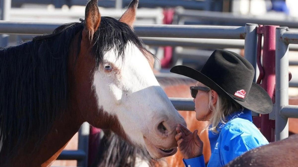 Kirsten Vold To Retire As Stock Contractor: Closing A Legendary Chapter ...