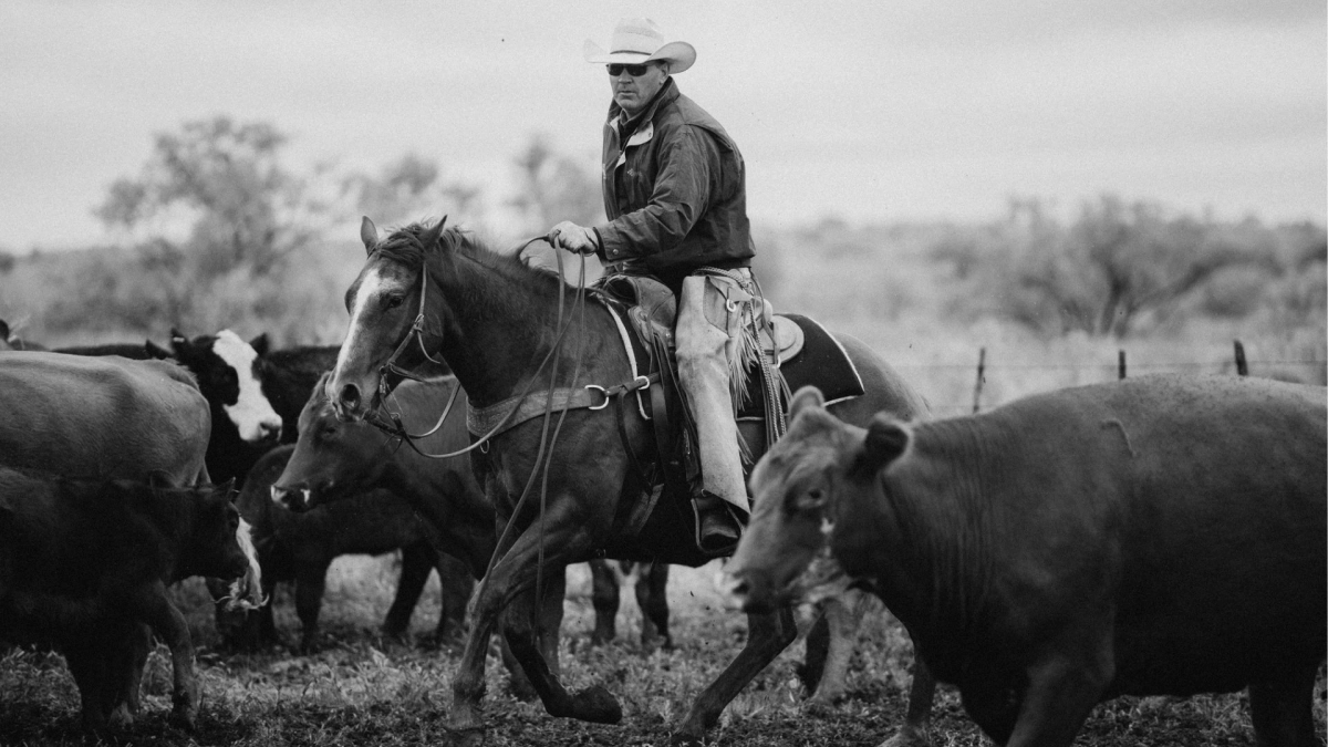 Return To The Remuda Sale 2025: Four Sixes Ranch Horse Auction