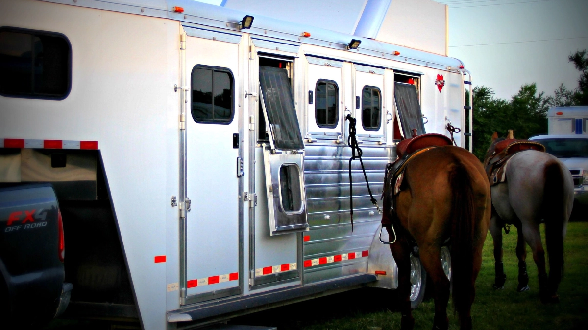 Bumper Pull Vs Gooseneck Horse Trailers