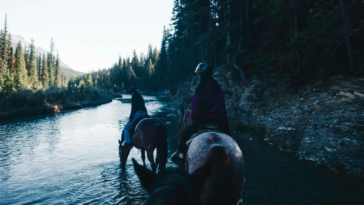 From Mountains To Beaches: Top States For Trail Riding
