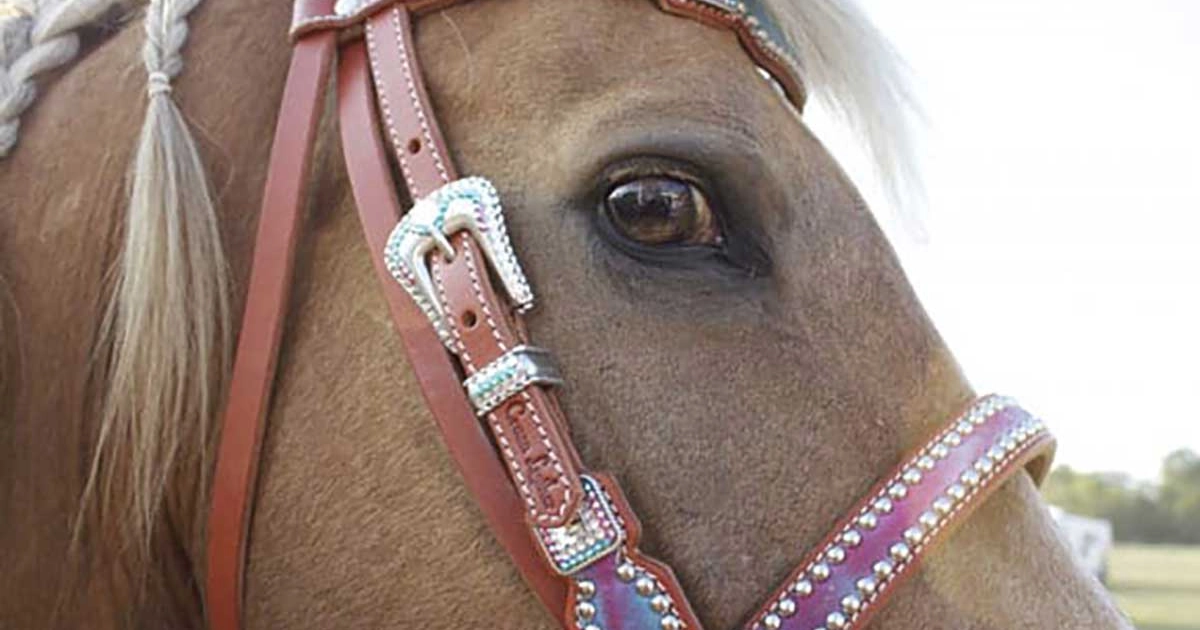 5 Beautiful Tack Brands - COWGIRL Magazine
