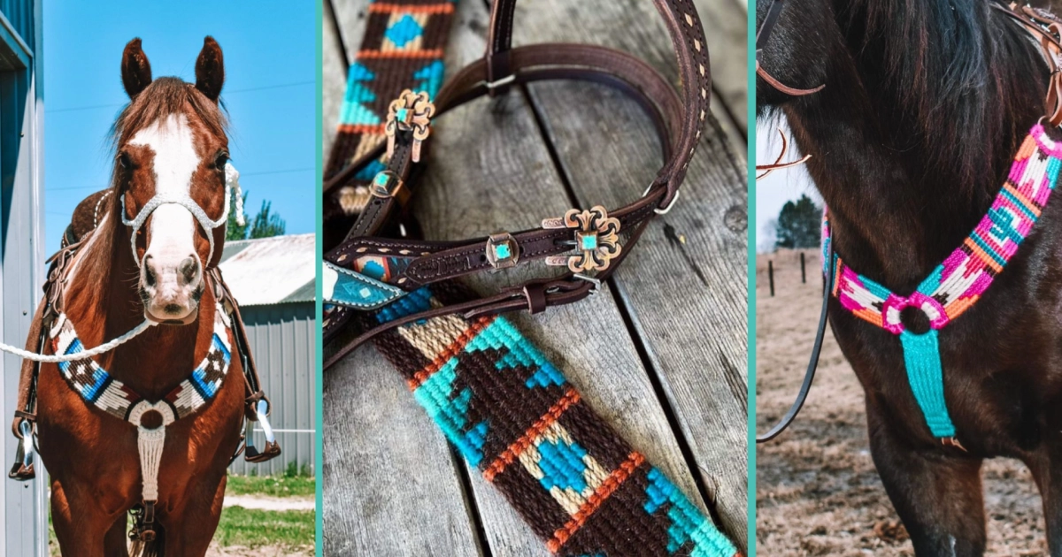 Add Some Color Into Your Tack Room With R.A.E. Designer Tack - COWGIRL ...