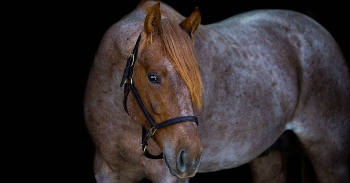 Stay Safe With Stall Signs - COWGIRL Magazine