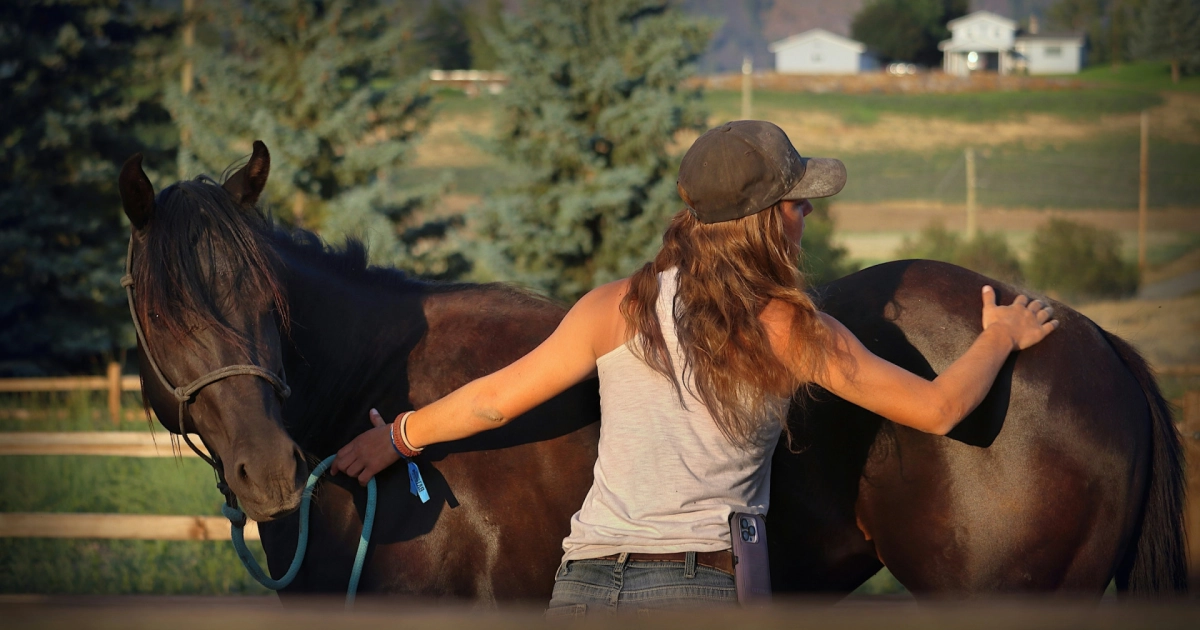 The Four Quadrants Of Horse Training