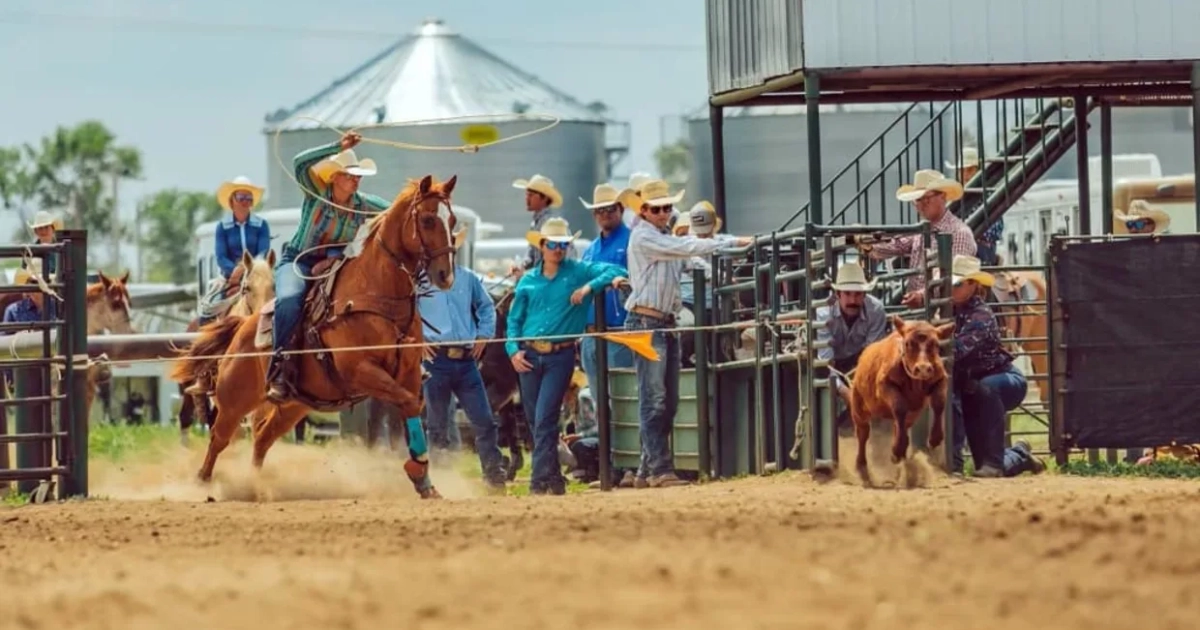 4H Rodeo Star Hope Kosel Goes Viral With Record-Setting Breakaway ...
