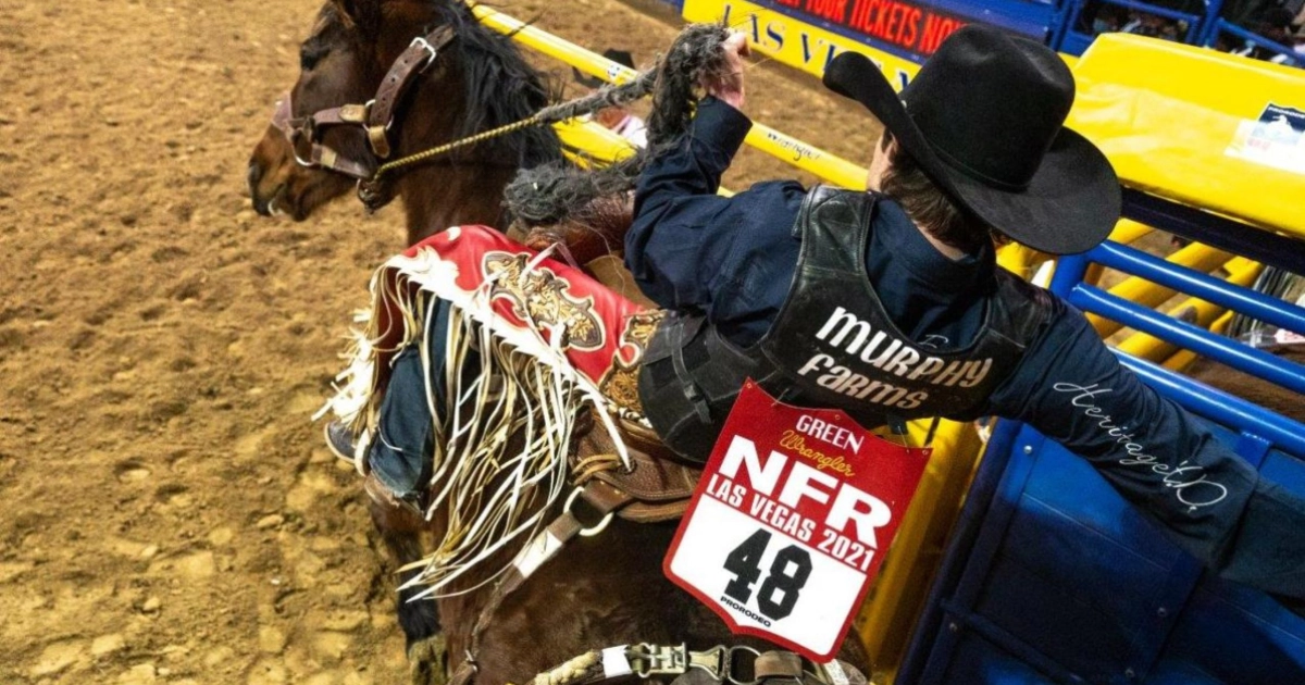 The Official NFR Back Numbers Have Been Released!