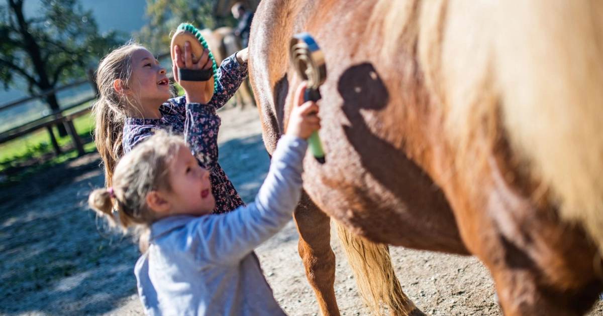 10 Fun Activities For Horsey Kids