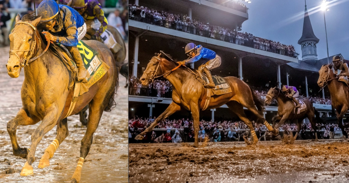 5 Facts About Kentucky Derby Winner, Sovereignty