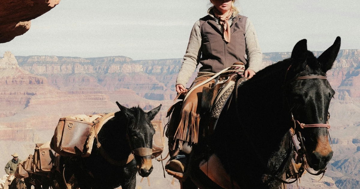 5 Fun Facts About Mule Packing