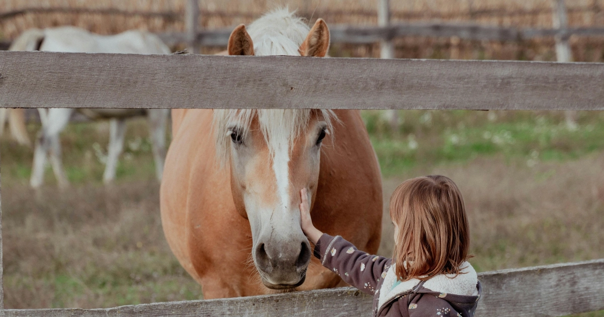 10 Tips For Raising Kids Around Horses