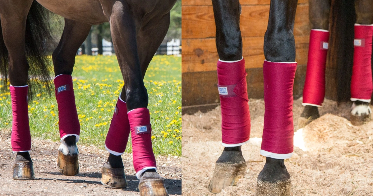 How To Correctly Apply A Standing Wrap