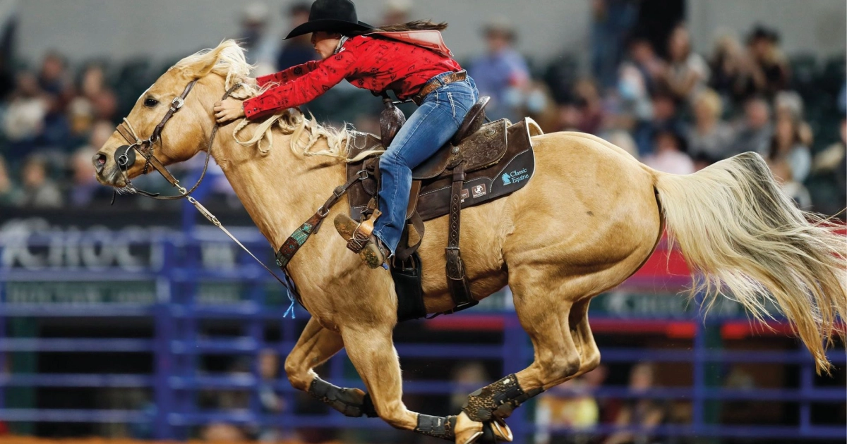 NFR Experience Announces Updated Equine Health Requirements Amid EHV-1 ...