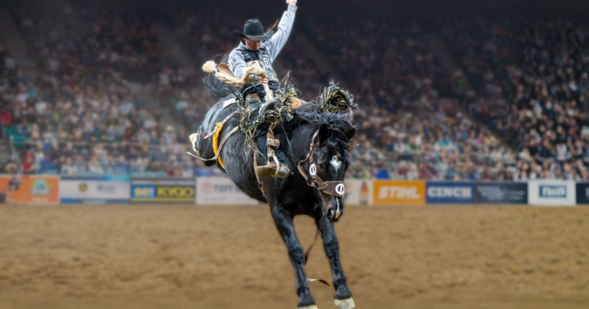 The 2026 National Western Stock Show Kicks Off January 10