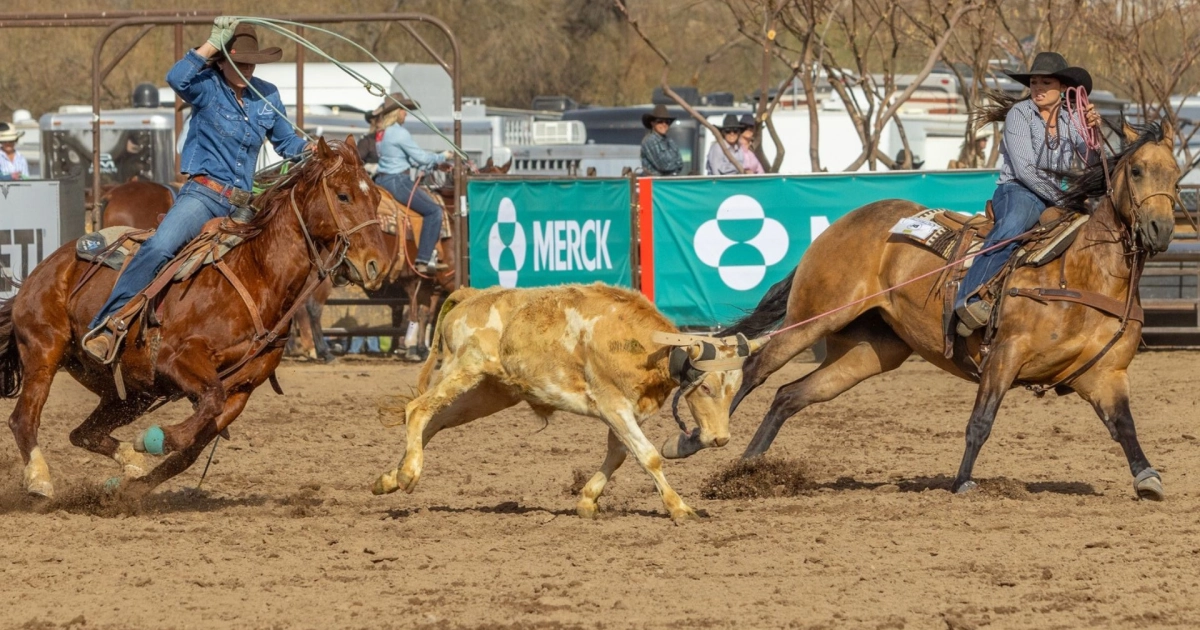 Art Of The Cowgirl All-Girl Team Roping Registration Opens With ...