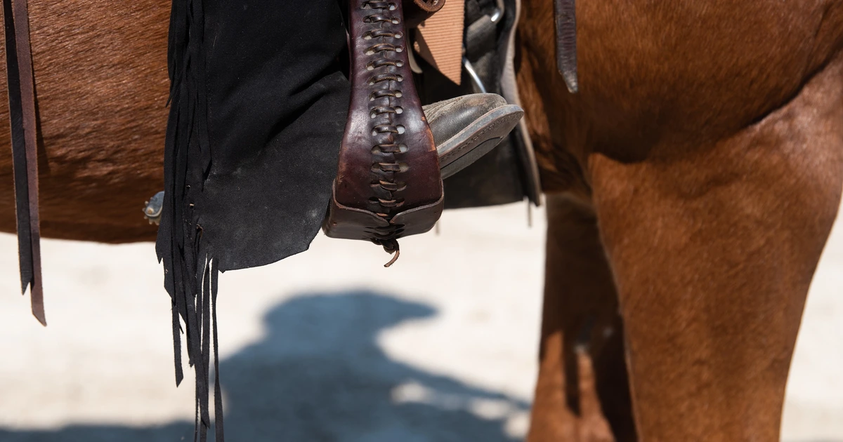 Reining Vs Ranch Riding: Choosing The Best Discipline For You & Your Horse