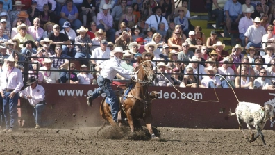 trevor brazile