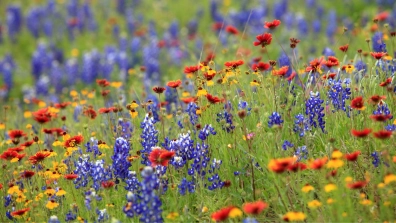 The Legacy Of The Rafter G Rodeo Company