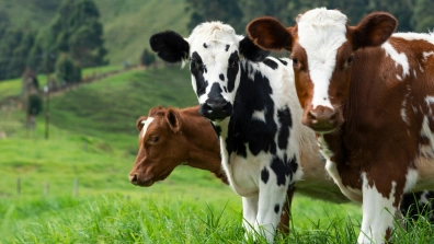 Stock Tank Pools Are The New Summer Trend - COWGIRL Magazine