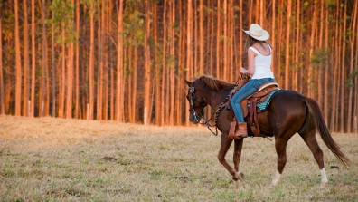 Get Your Body In The Correct Position For Western Riding - COWGIRL Magazine