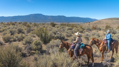 Learn Some Simple Trick Riding Maneuvers - COWGIRL Magazine