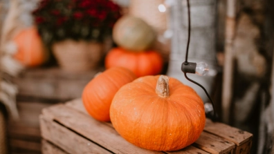 Yellowstone Behind-The-Scenes - COWGIRL Magazine