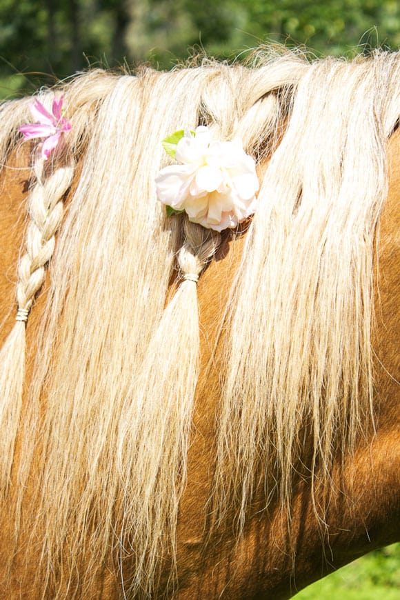 Floral Mane & Tails - COWGIRL Magazine