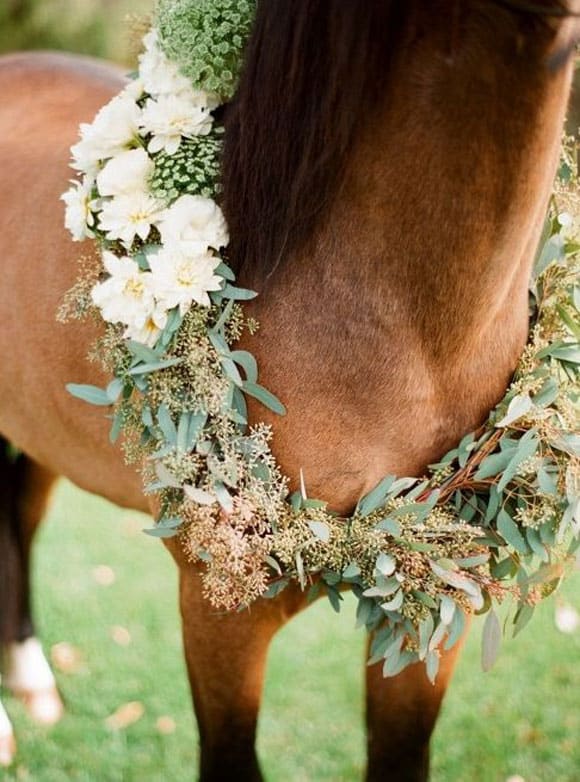 Floral Mane & Tails - COWGIRL Magazine