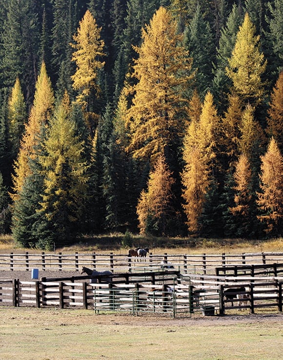 Grand Guest Ranches - COWGIRL Magazine