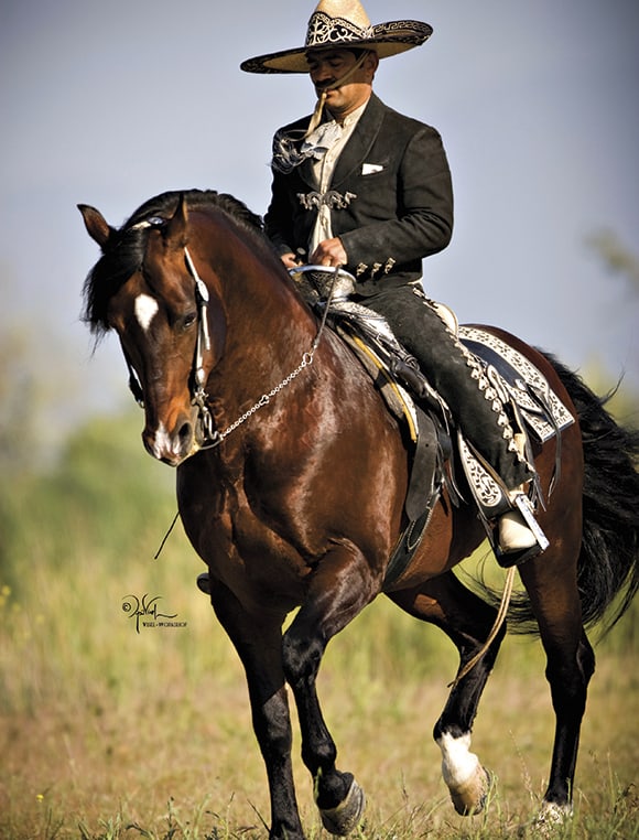 Azteca - COWGIRL Magazine