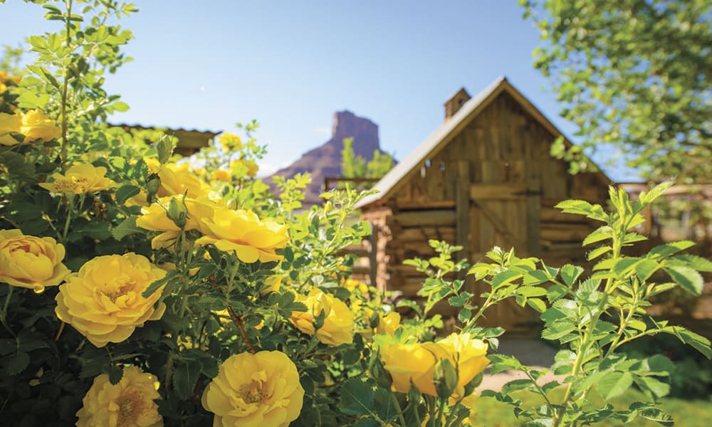 Sorrel River Ranch - COWGIRL Magazine