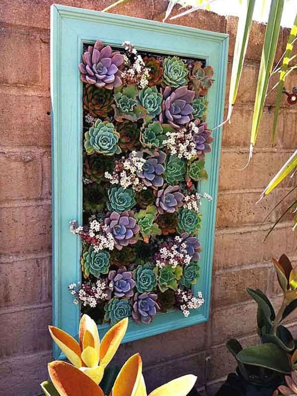 10 Creative Ways to Repurpose Old Frames - COWGIRL Magazine