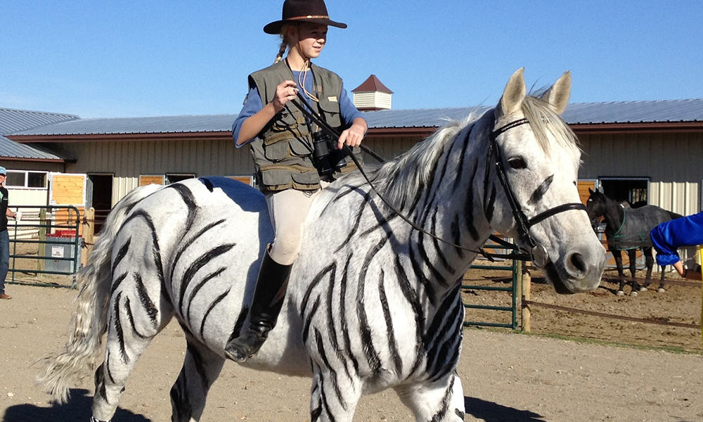 7 Best Halloween Costumes for You and Your Horse! - COWGIRL Magazine