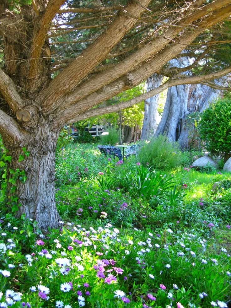 Gorgeous Lush Ranches and Barns to Inspire - COWGIRL Magazine