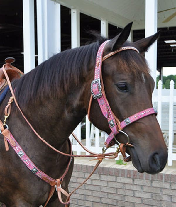 5 Belt Headstalls We Love - COWGIRL Magazine