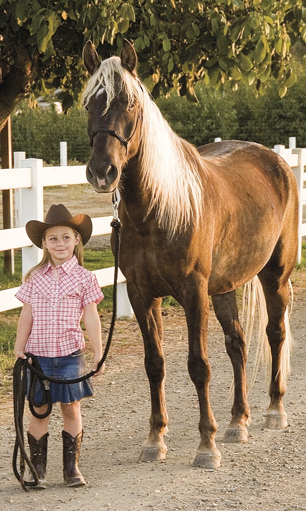 A Gaited Community - COWGIRL Magazine