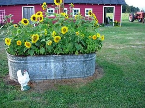Super Easy & Creative Ways to Repurpose Water Troughs - COWGIRL Magazine