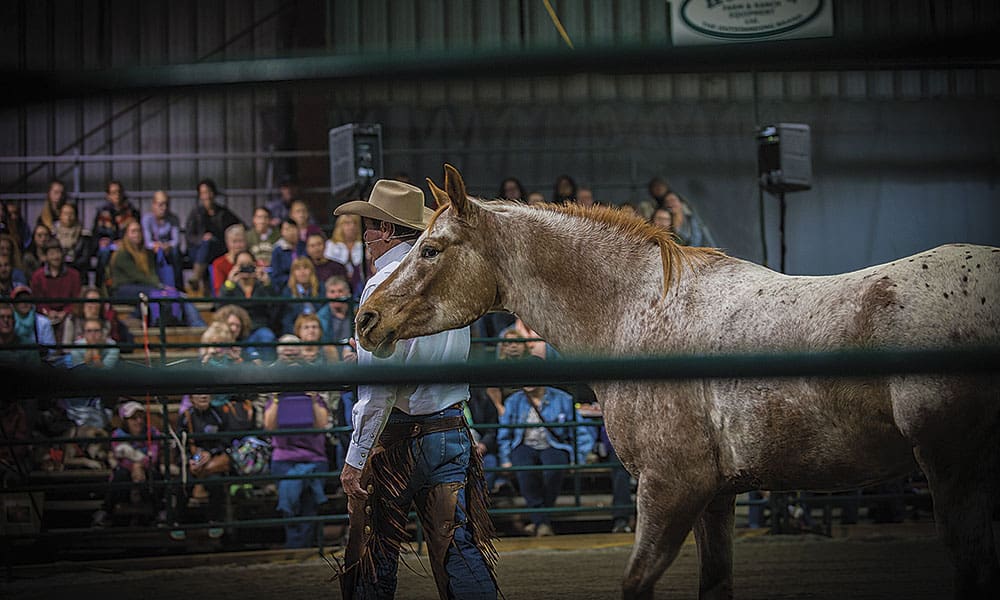 UPDATE: Canada’s Mane Event Comes to U.S. - COWGIRL Magazine