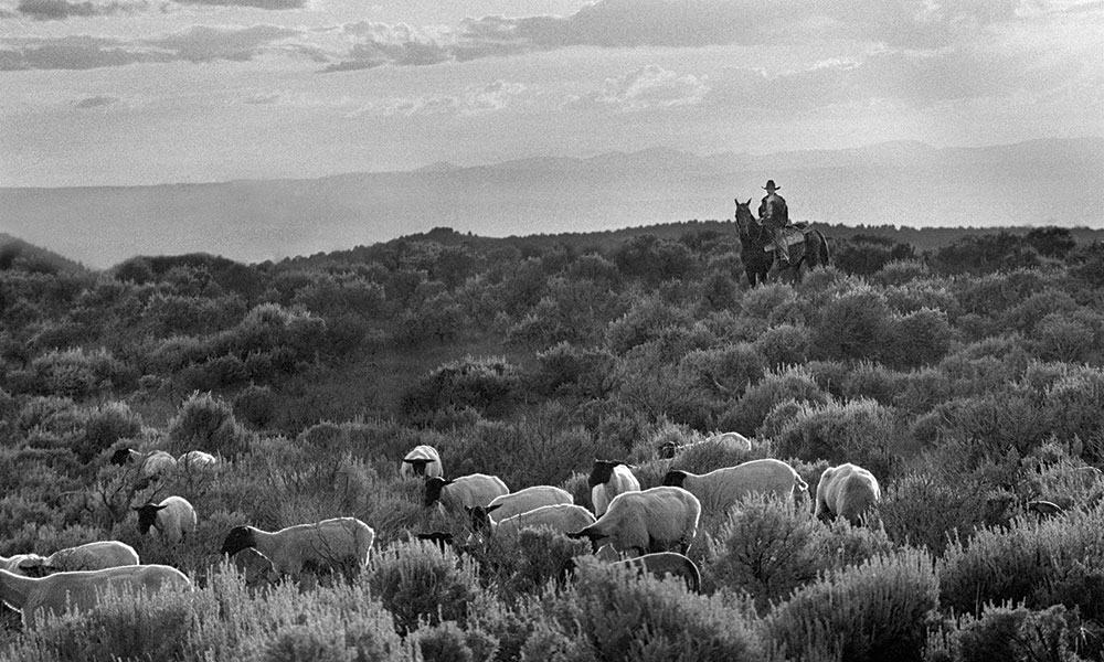 The West Through A Seasoned Lens - COWGIRL Magazine