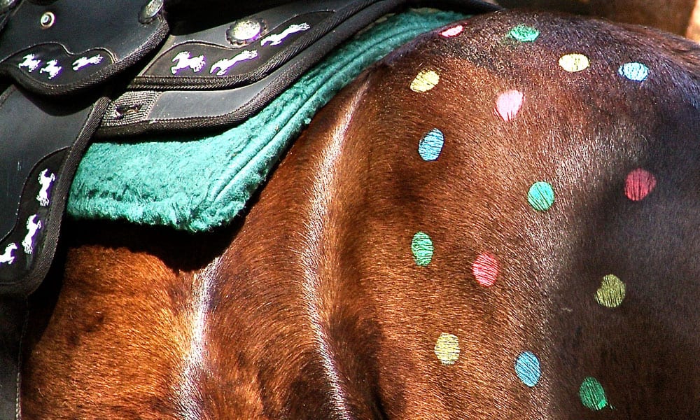 Have Fun At The Barn With Polka Dots - COWGIRL Magazine