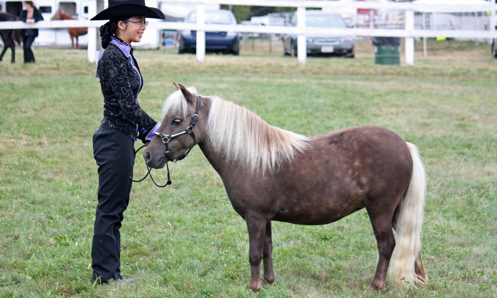 4 Reasons To Own A Miniature Horse - COWGIRL Magazine