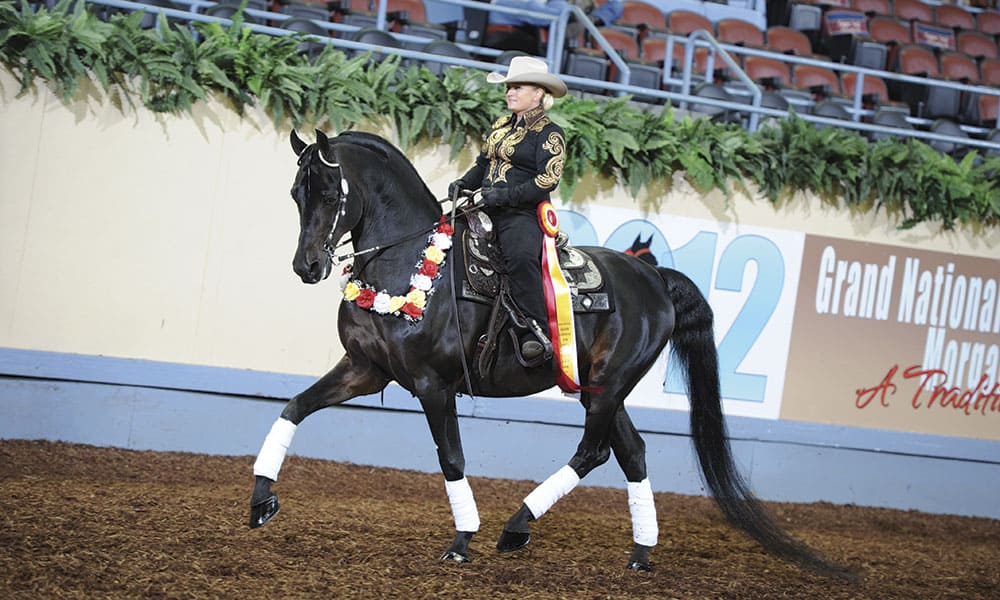 National Treasure: Morgan Horses - COWGIRL Magazine