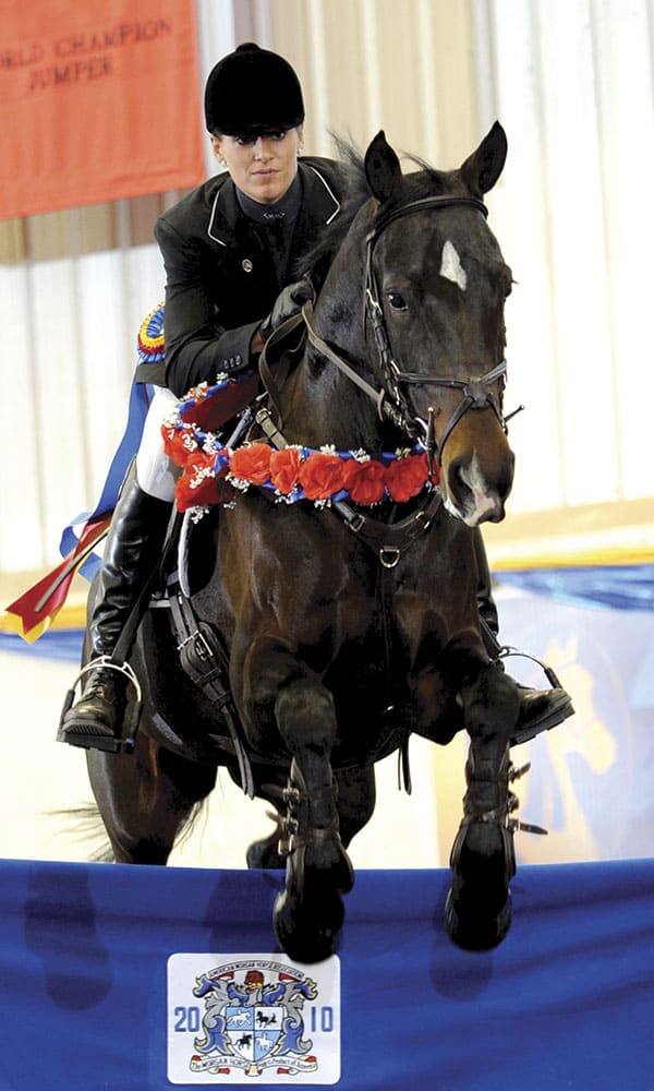 National Treasure: Morgan Horses - COWGIRL Magazine