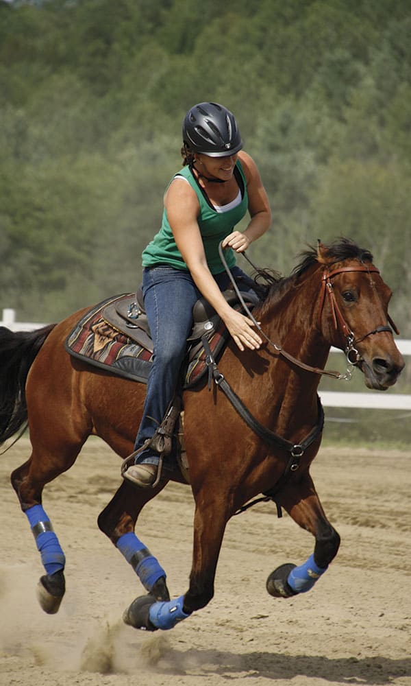National Treasure: Morgan Horses - COWGIRL Magazine