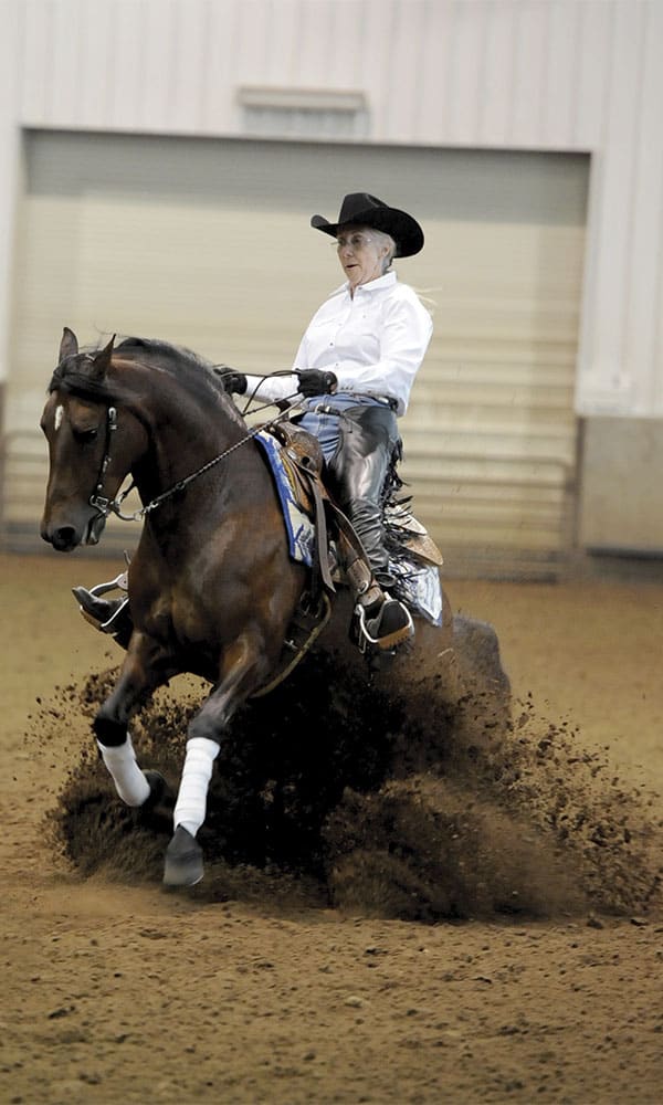 National Treasure: Morgan Horses - COWGIRL Magazine